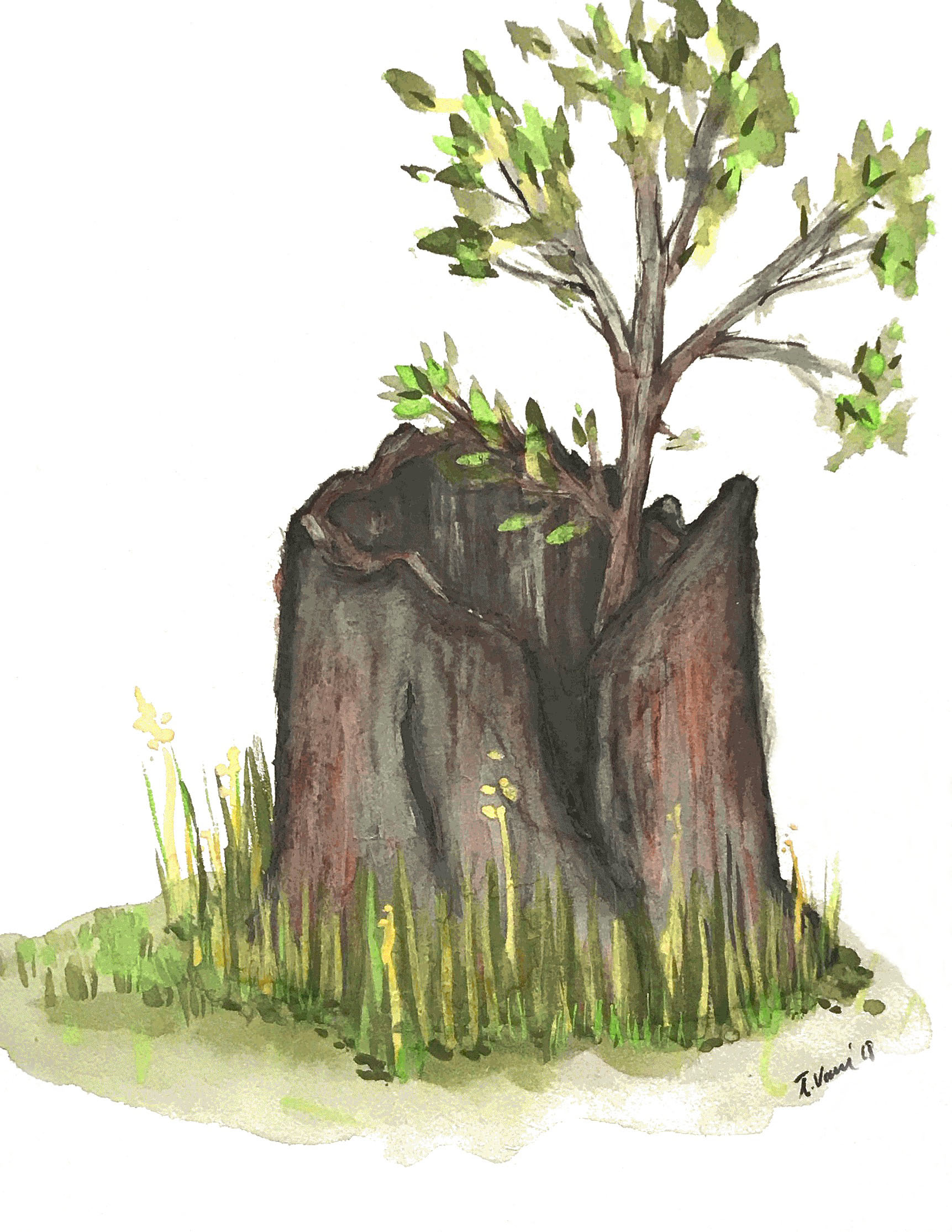 Regrowth – Art of Counseling